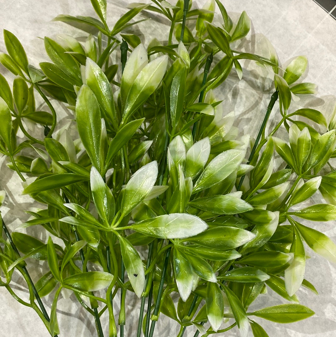 TWO TONE LEAF BUSH — Wild's Creek & Co.